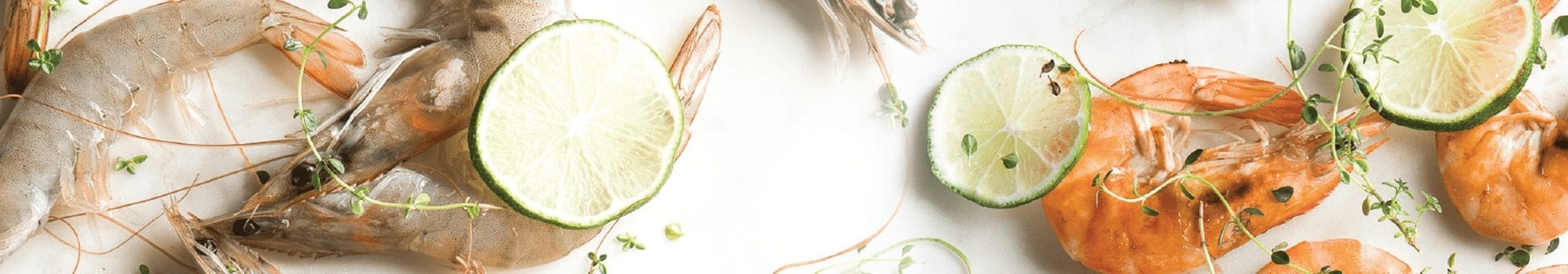 skyline Cook and Chill - Electrolux Professional 中國